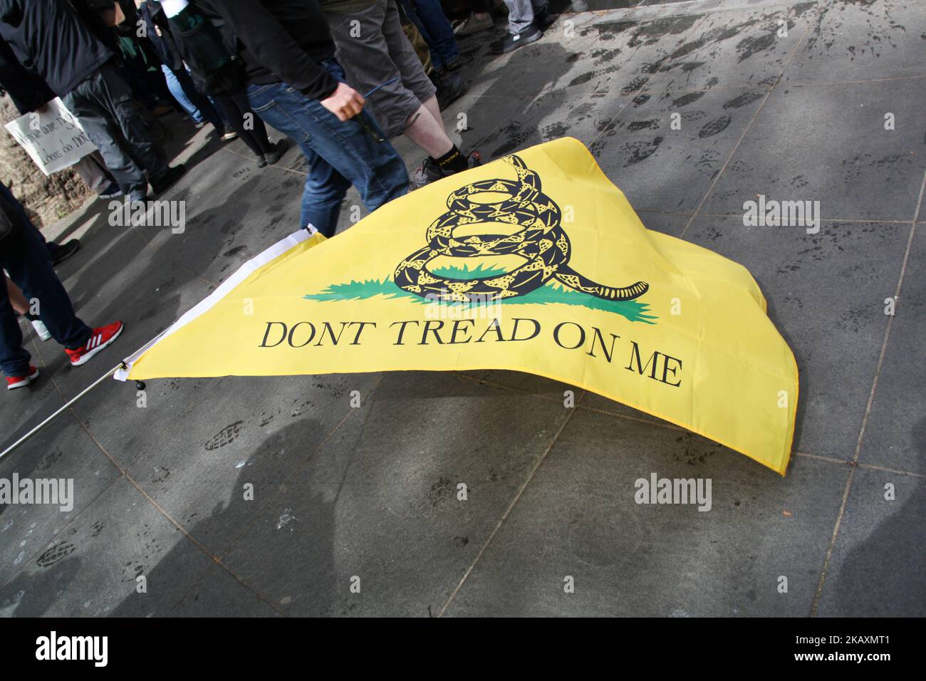 Count dankula dog hi-res stock photography and images - Alamy