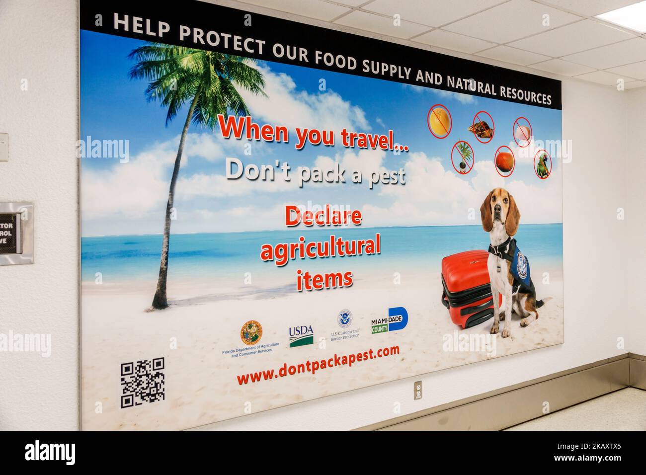 Miami Florida,International Airport MIA terminal concourse gate area ...