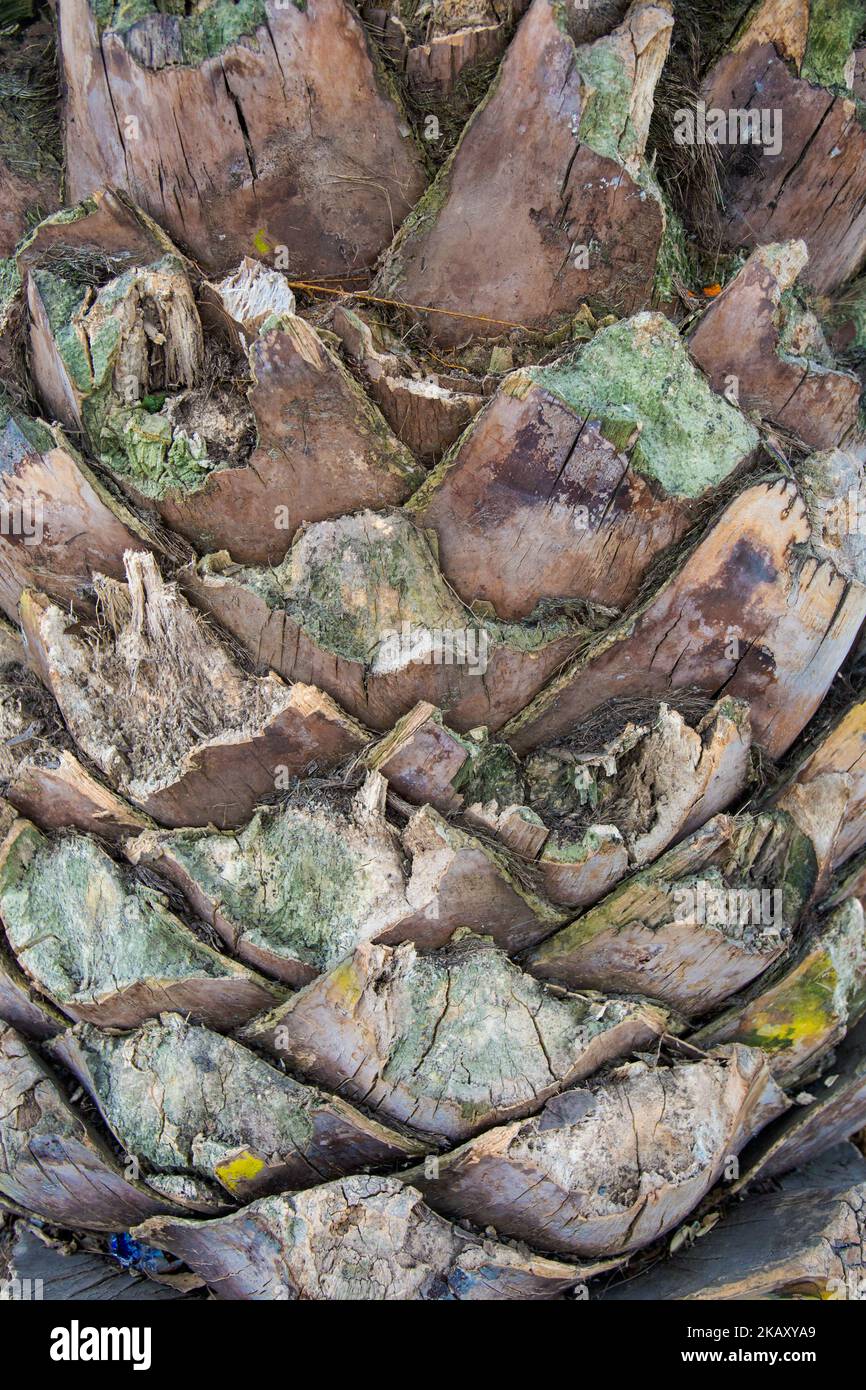 Regina coeli convent church hi-res stock photography and images - Alamy