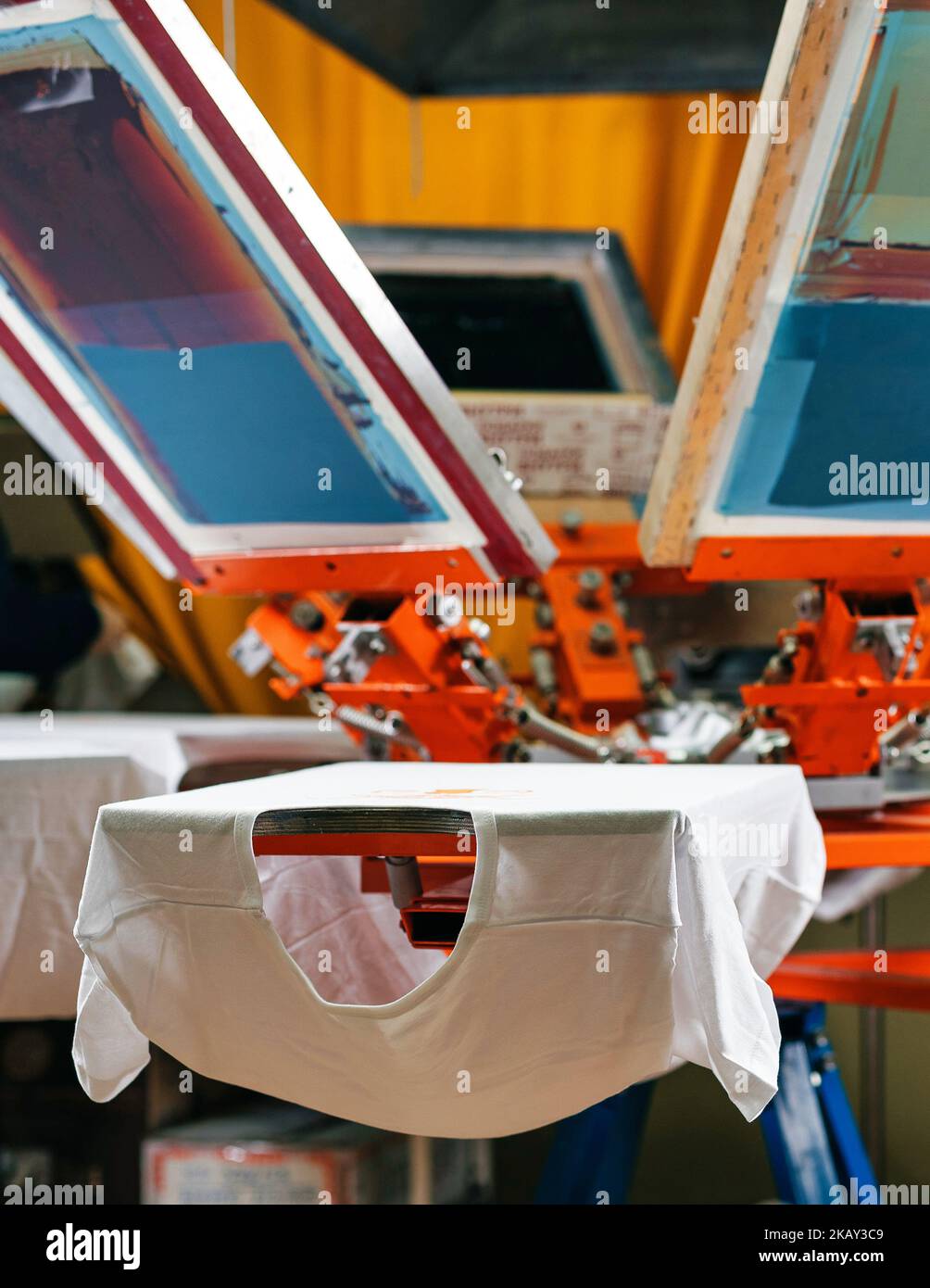 white t-shirt is ready for printing. creating print on t-shirt in ...