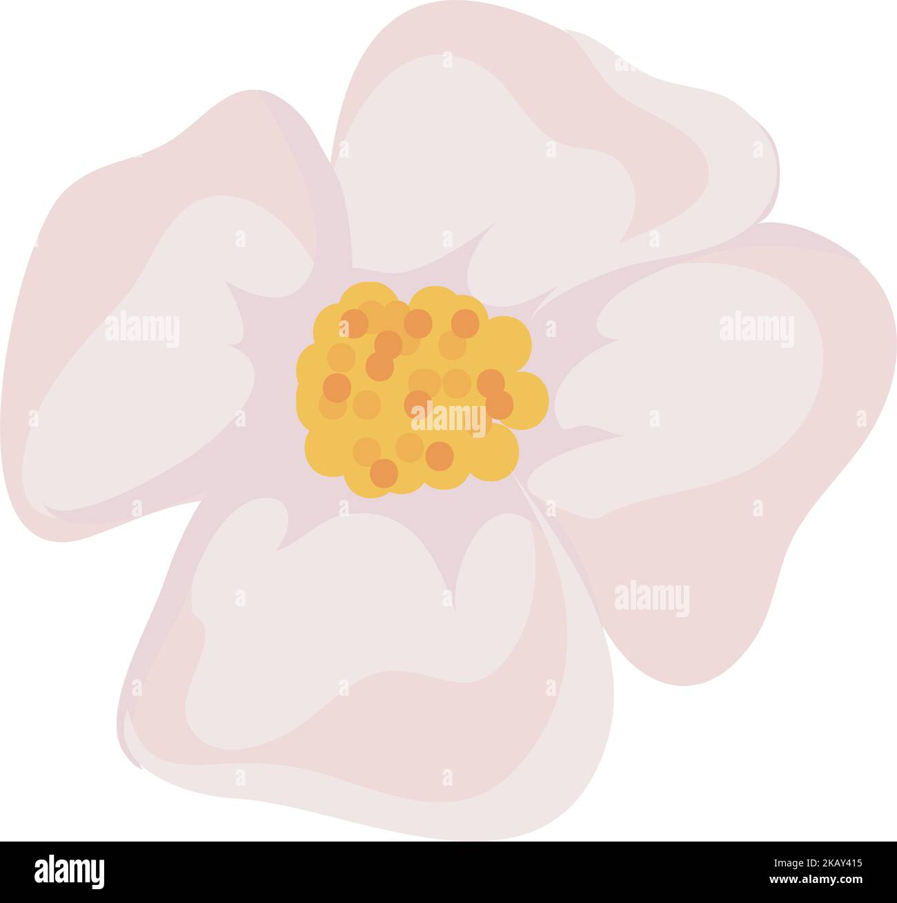 colored flower design Stock Vector Image & Art - Alamy