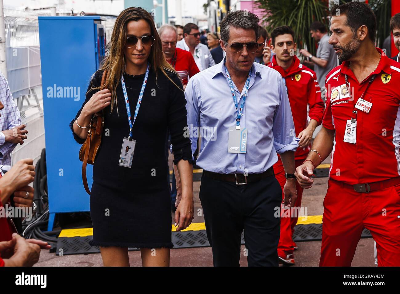 The actor Hugh Grant and his wife Anna Elisabet Eberstein portrait ...