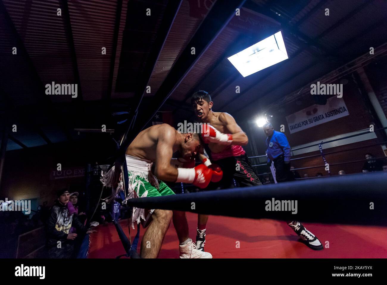 Osorno, Chile. 2 June 2018. Combat for the Super Gallo category between ...