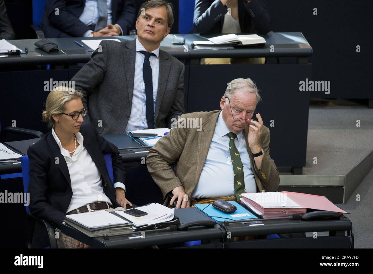 Alice weidel bundestag hi-res stock photography and images - Alamy
