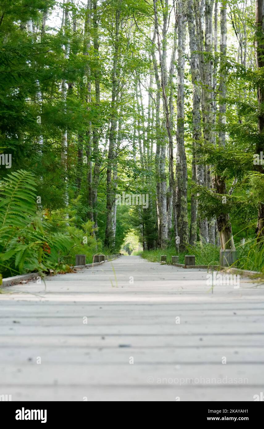 Jesup hi-res stock photography and images - Alamy