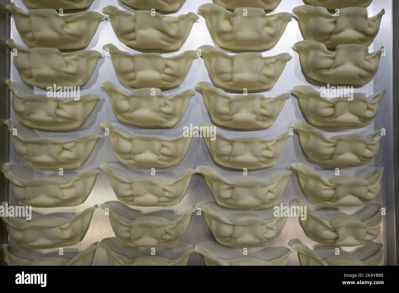 Toa Industry Co., Ltd.: Fully-automated gyoza-making machine on display ...