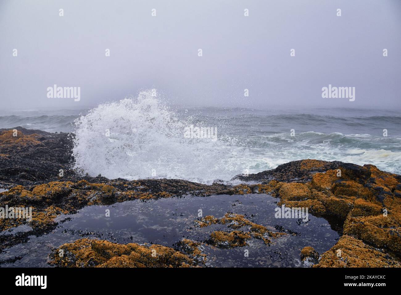 Cape Perpetua Crashing Waves and Tide Pools Oregon Coast fog views by ...