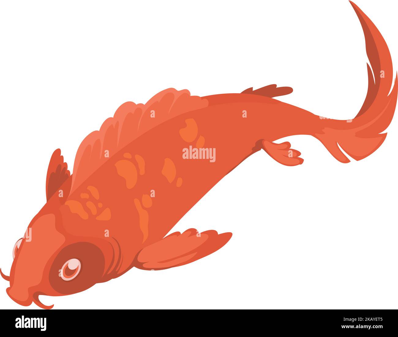 red koi fish Stock Vector Image & Art - Alamy