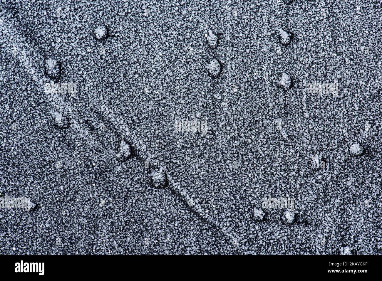 Fine details of ice crystals Stock Photo - Alamy