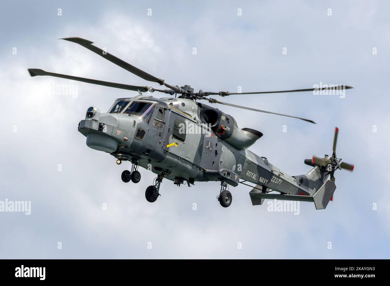Royal navy wildcat hi-res stock photography and images - Alamy
