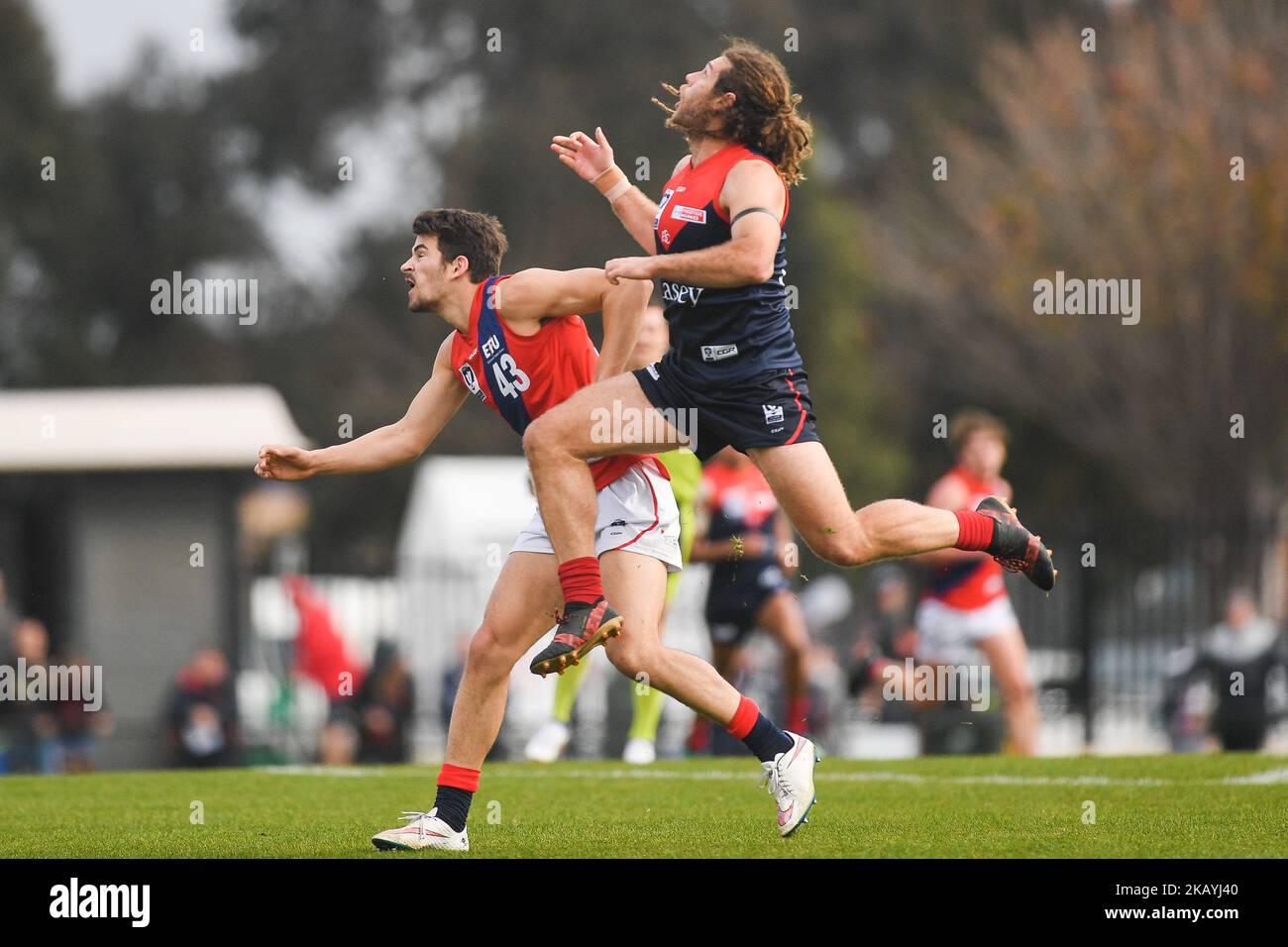 Nolan harrison hi-res stock photography and images - Alamy