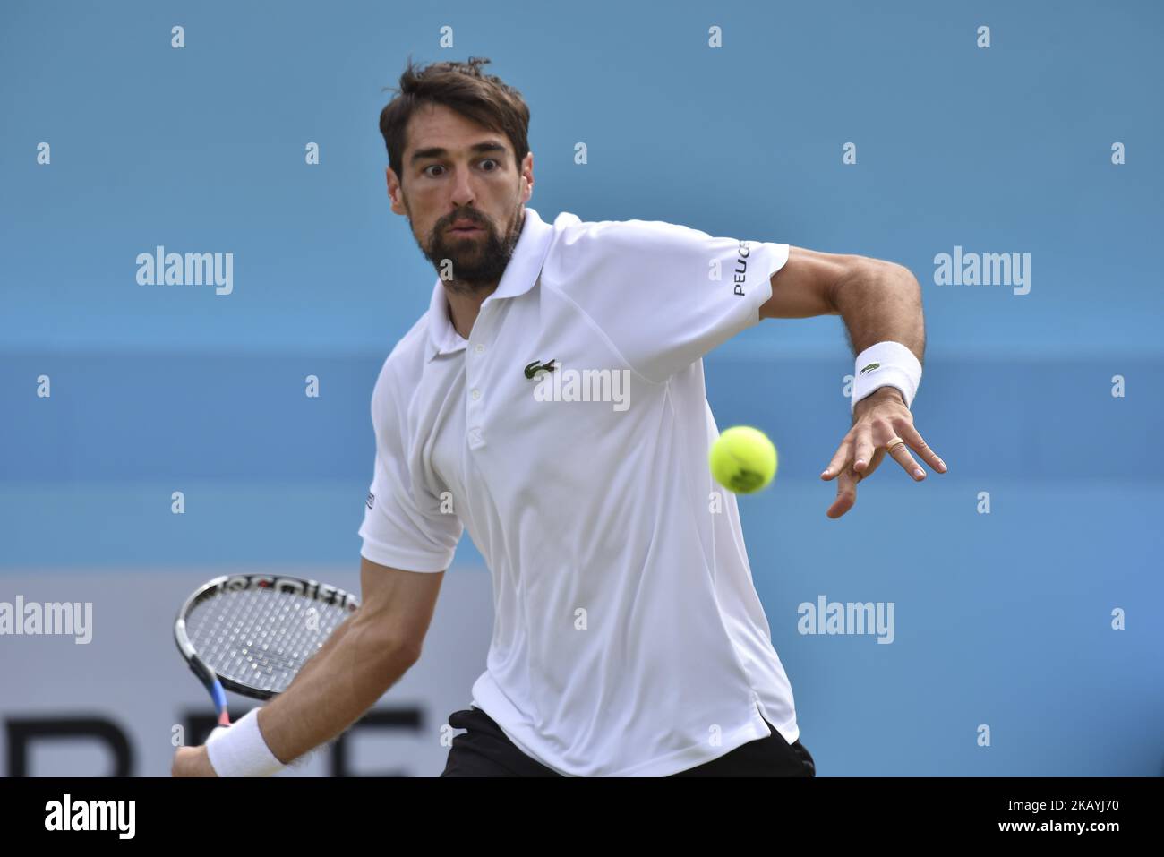 Jeremy chardy forehand hi-res stock photography and images - Alamy
