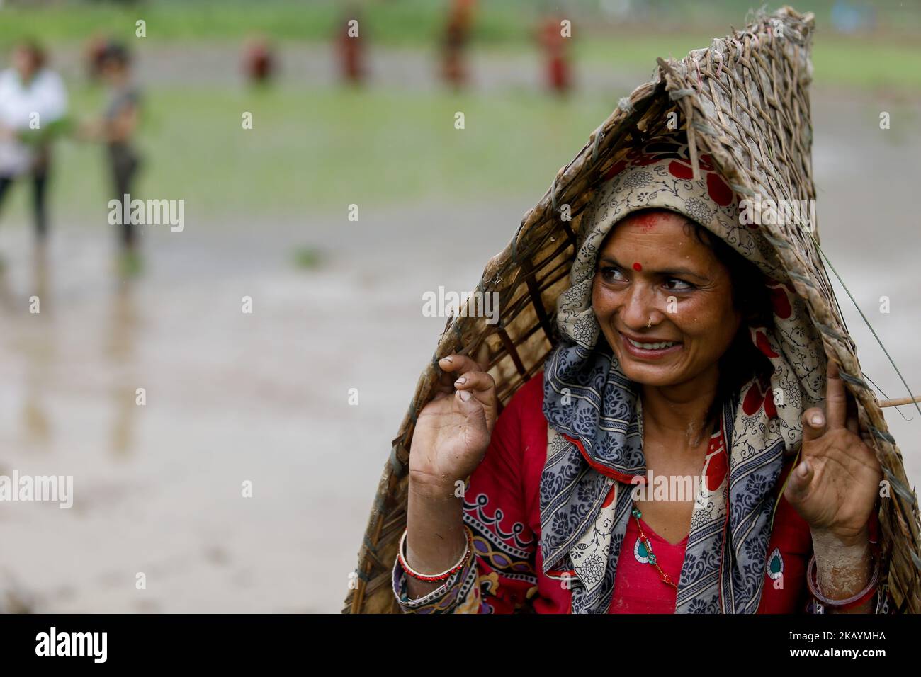 Nepalese woman arrives at paddy field to celebrate National Paddy Day ...