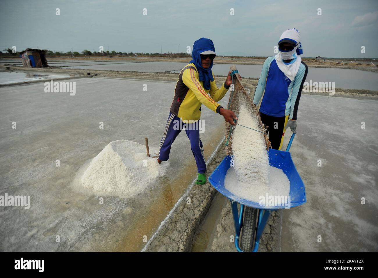 Farmers collect salt at one of the industrial salt centers in Mojowarno ...