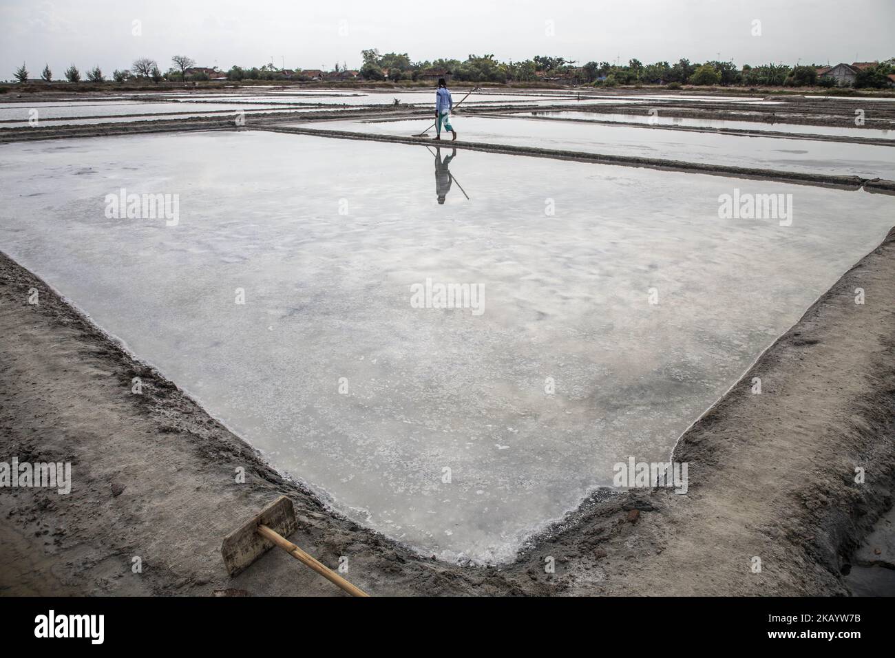 Rembang, Mid Java 04 July 2018 : The making of Salt at Rembang-Mid Java ...
