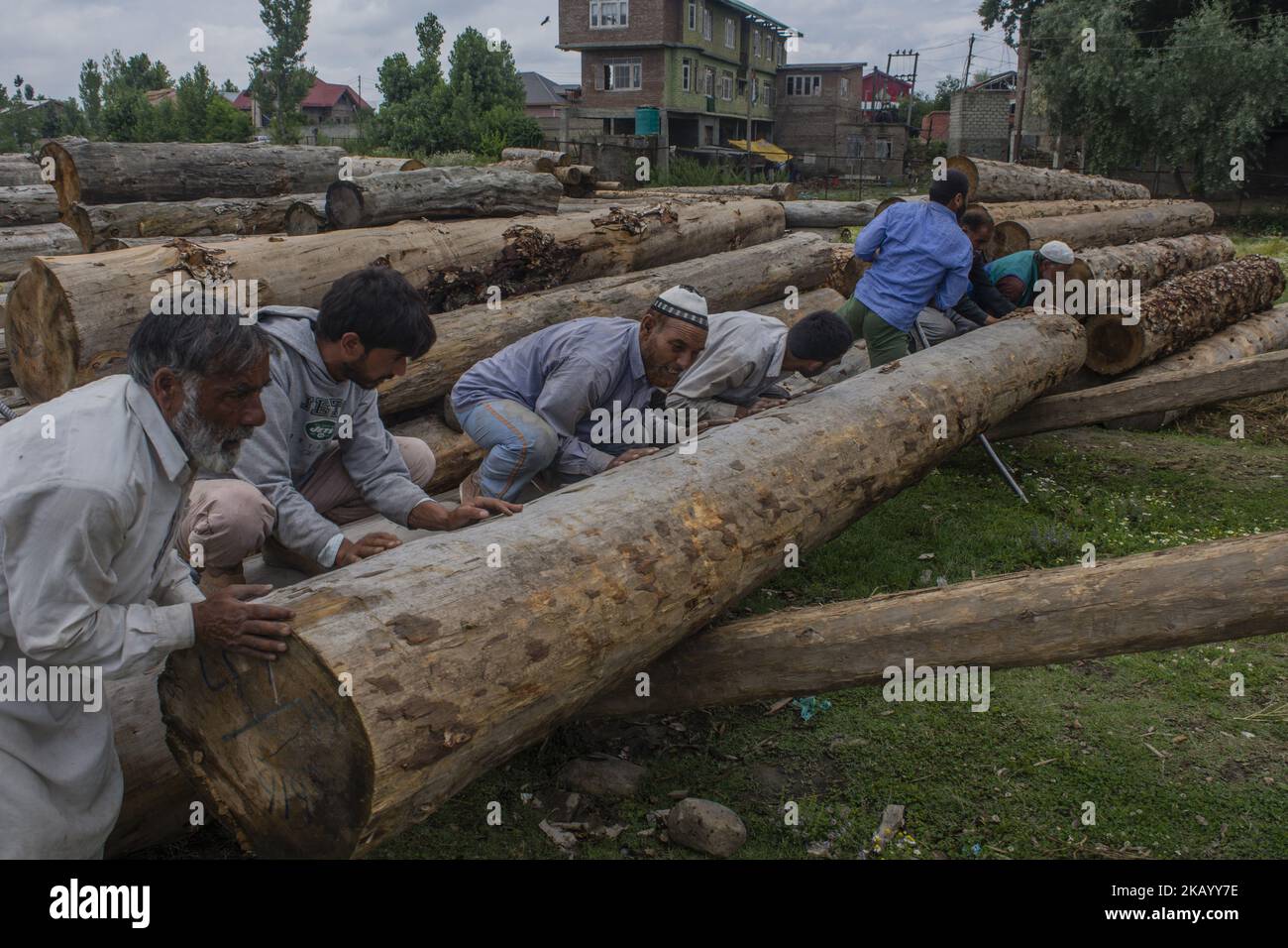 Kashmiri lumberjacks load tree logs onto a logging truck at Timber ...