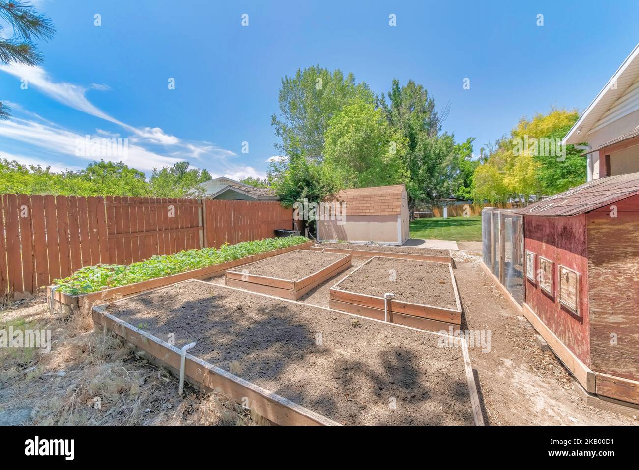 Chicken coop and grow beds at the backyard of a home on a sunny day ...