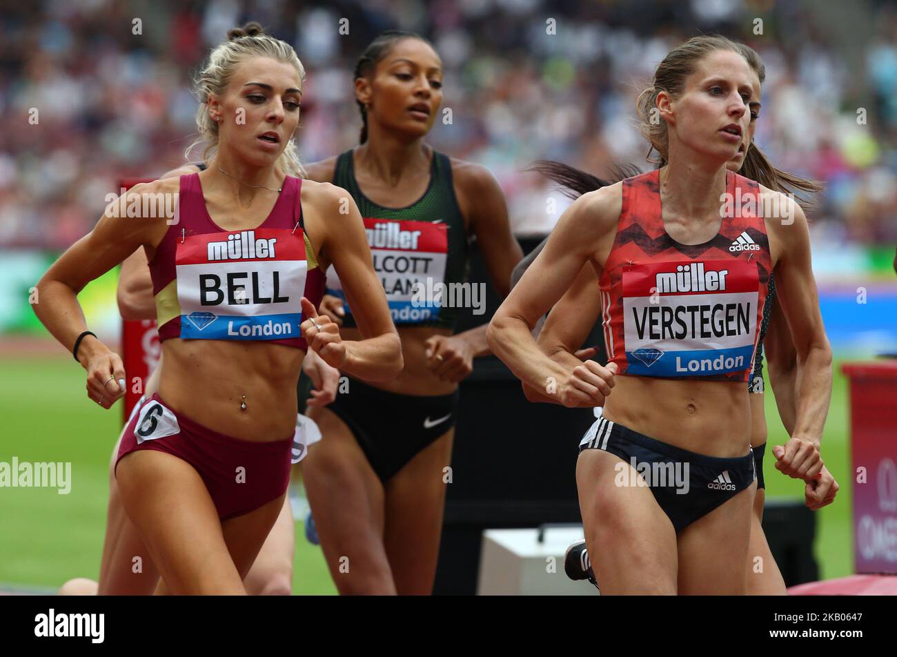 Sanne verstegen wolters hi-res stock photography and images - Alamy