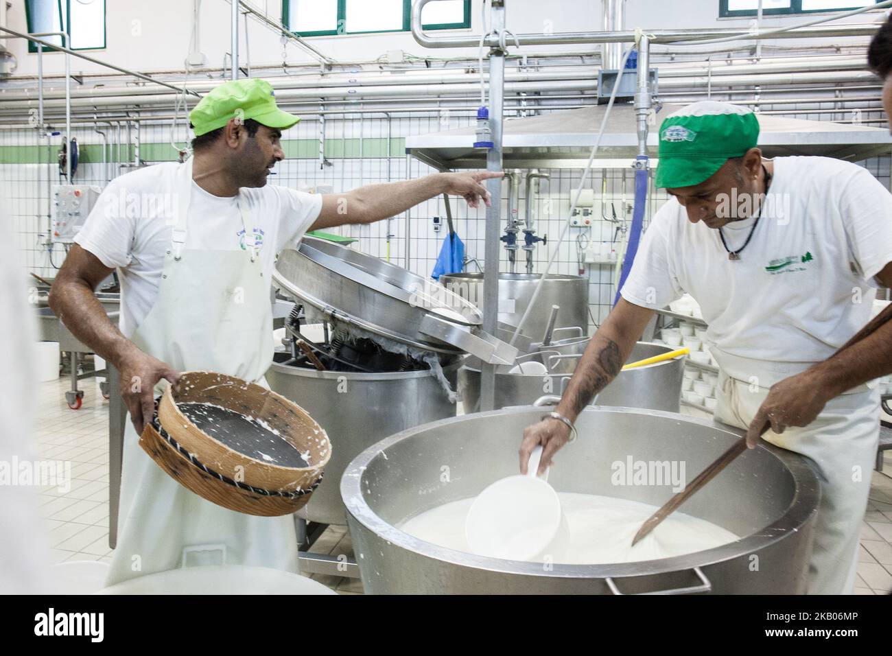 Employees during a production of Mozzarella Dop Campana, dairy in ...