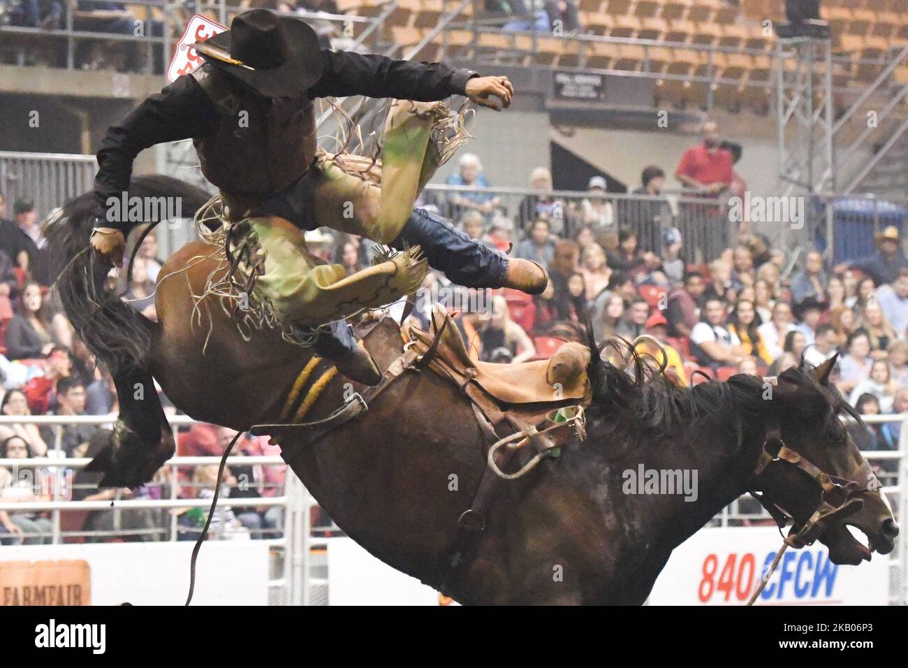 Dsaddle hi-res stock photography and images - Alamy