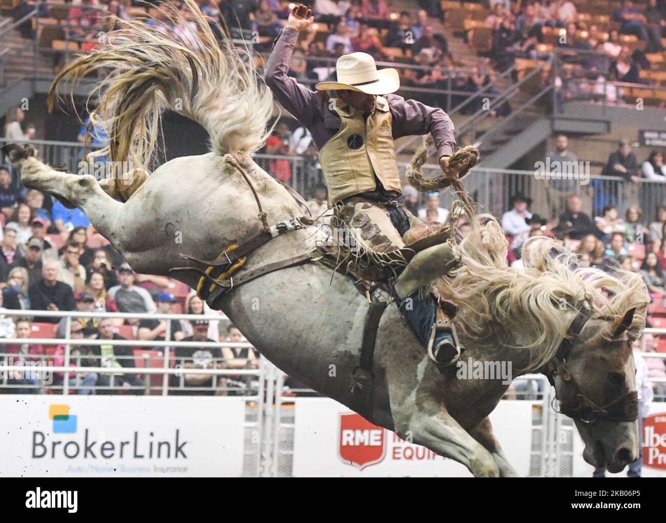 Saddle bronc rider Dusty Hausauer from Dickinson, ND, in action during ...