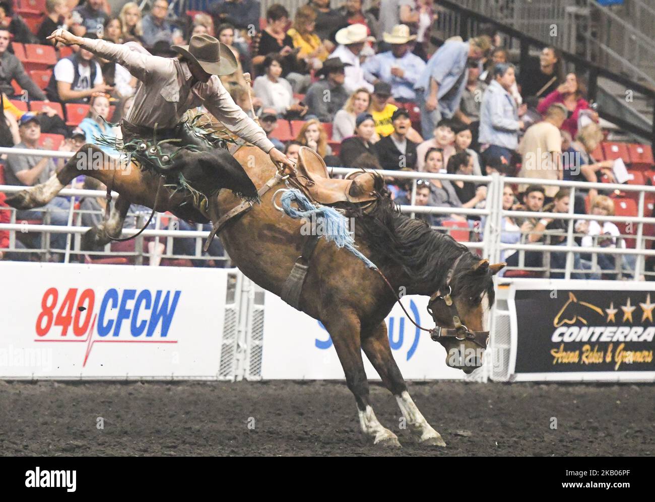 Saddle bronc rider Dawson Dahm from Duffield, AB, in action during the ...