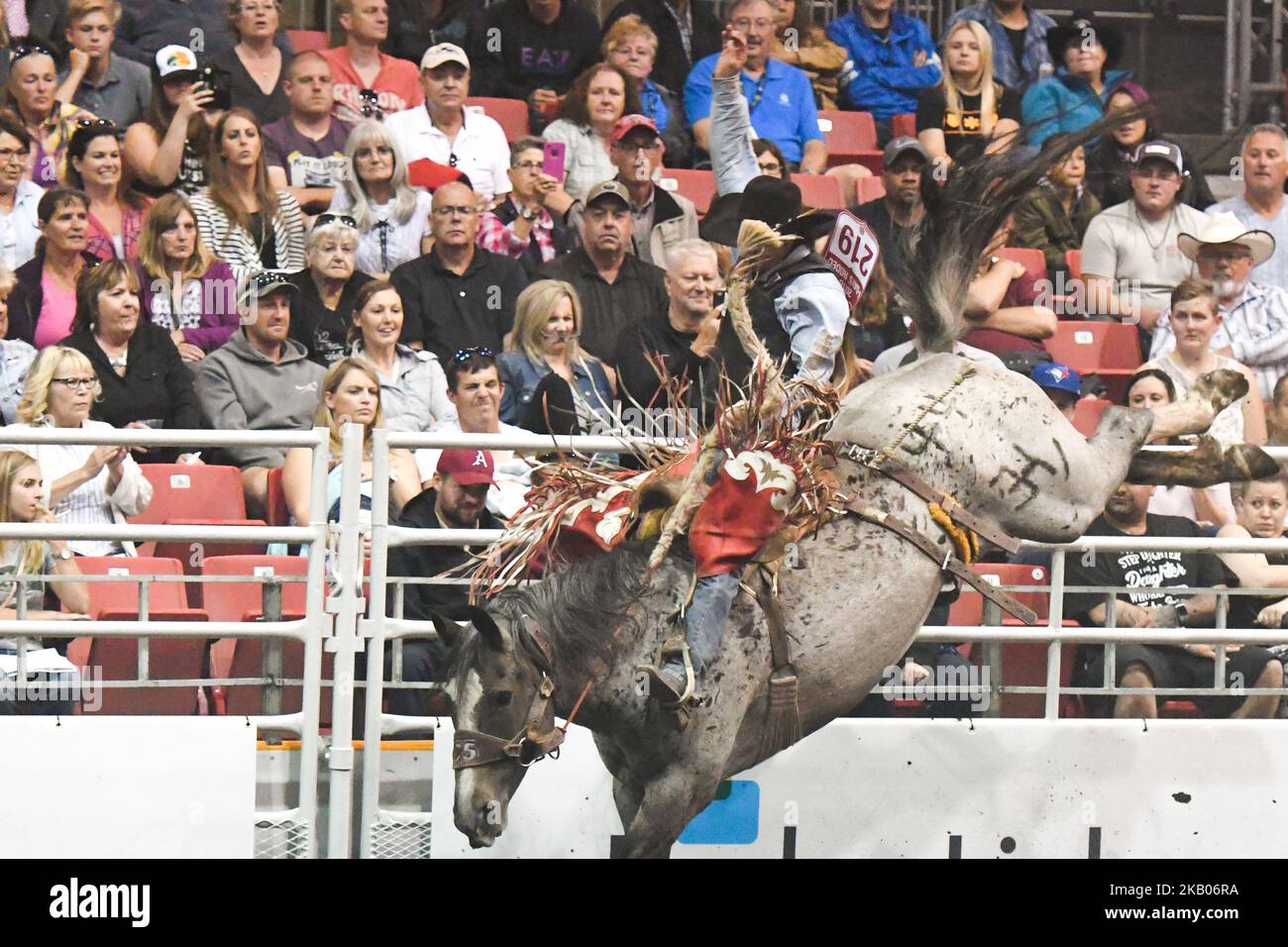 Dsaddle hi-res stock photography and images - Alamy