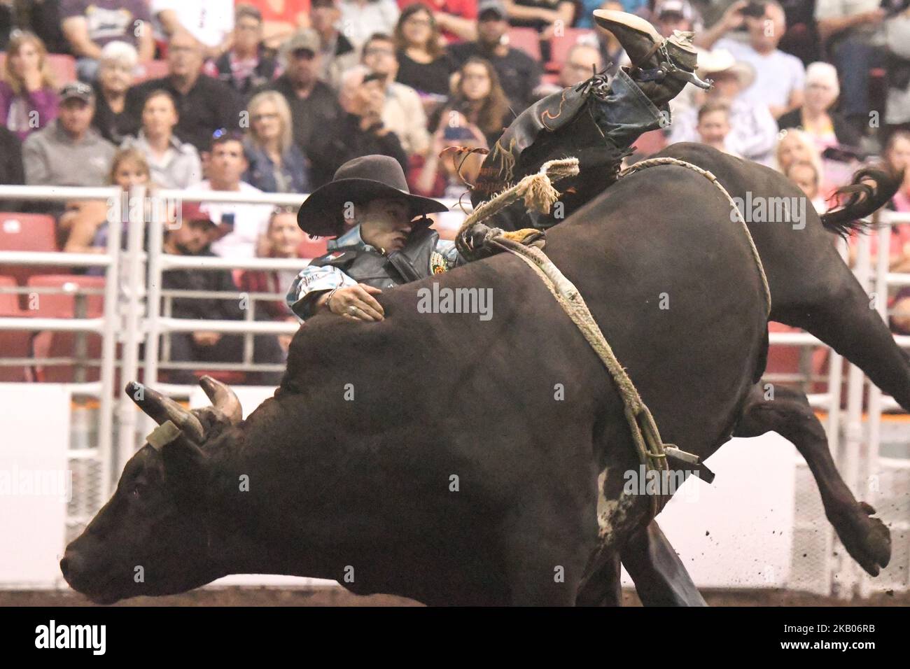 Cody coverchuk hi-res stock photography and images - Alamy