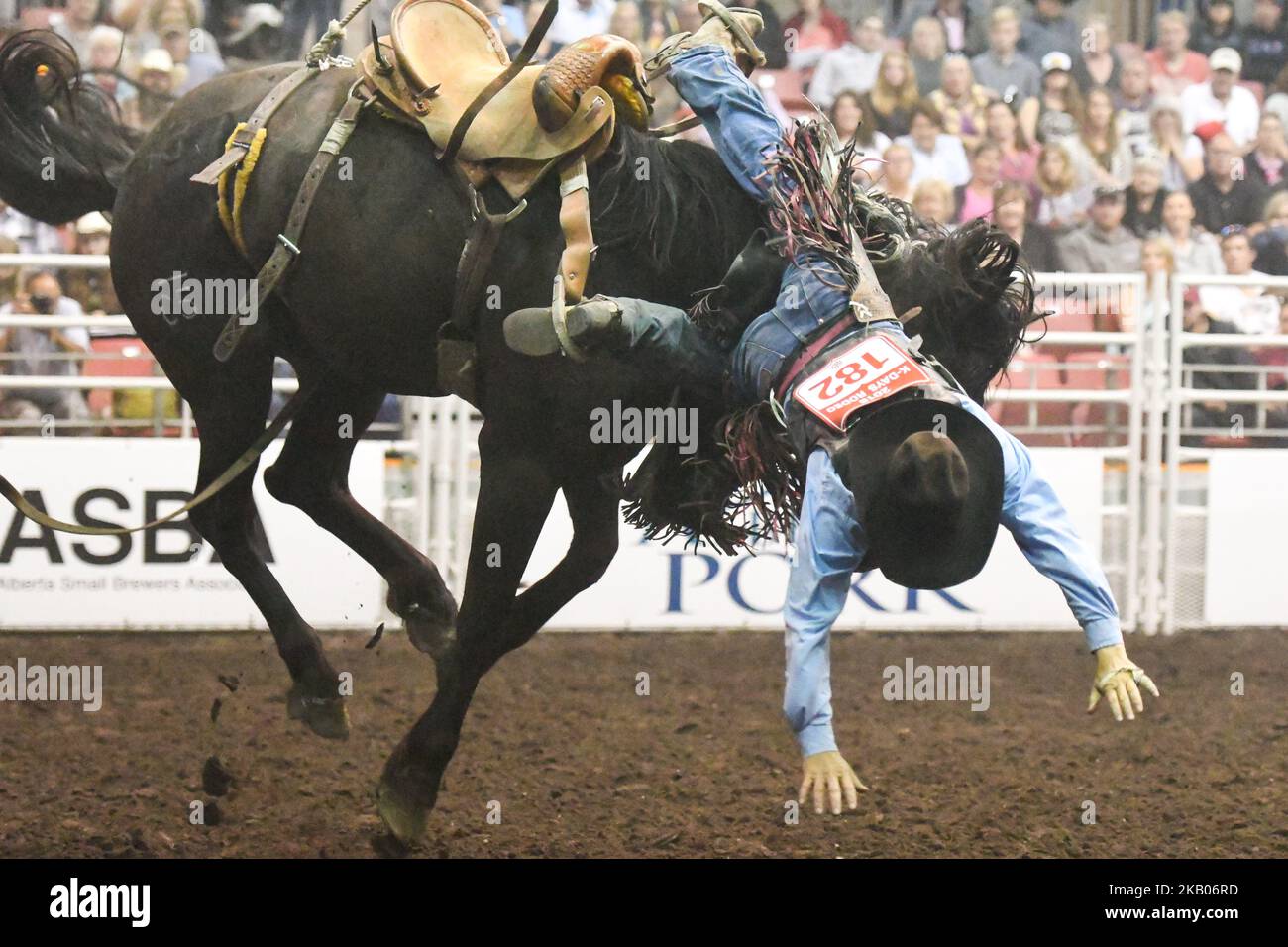 Dsaddle hi-res stock photography and images - Alamy