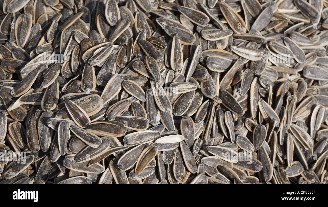 A lot of sunflower hi-res stock photography and images - Alamy
