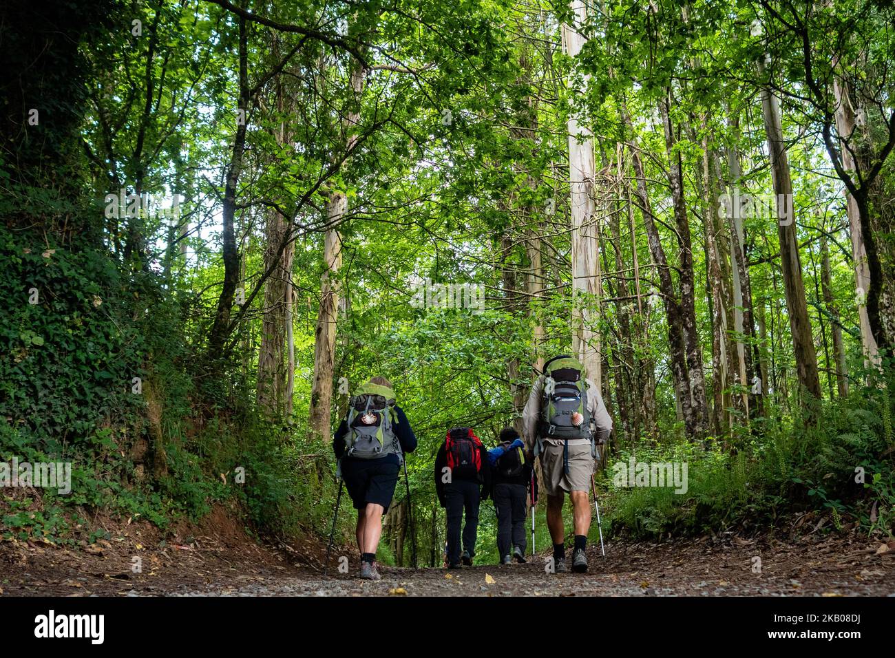 07/25/2018, Spain. The Camino de Santiago (the Way of St. James) is a ...