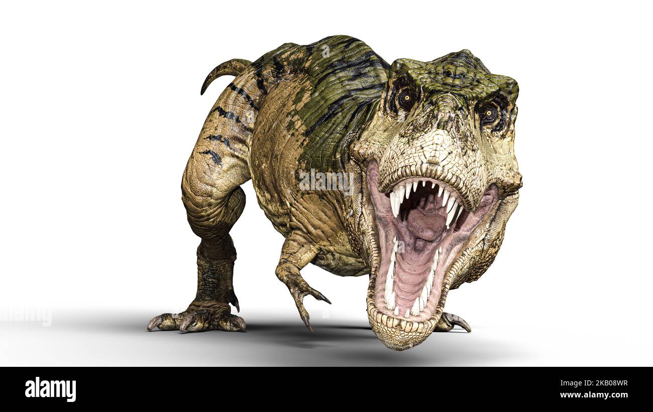 Trex t rex tyrannosaurus hi-res stock photography and images - Alamy