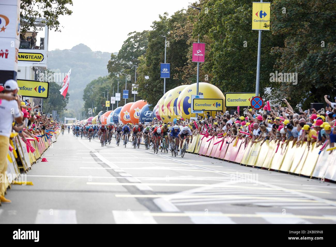 4 stage life cycle hi-res stock photography and images - Alamy