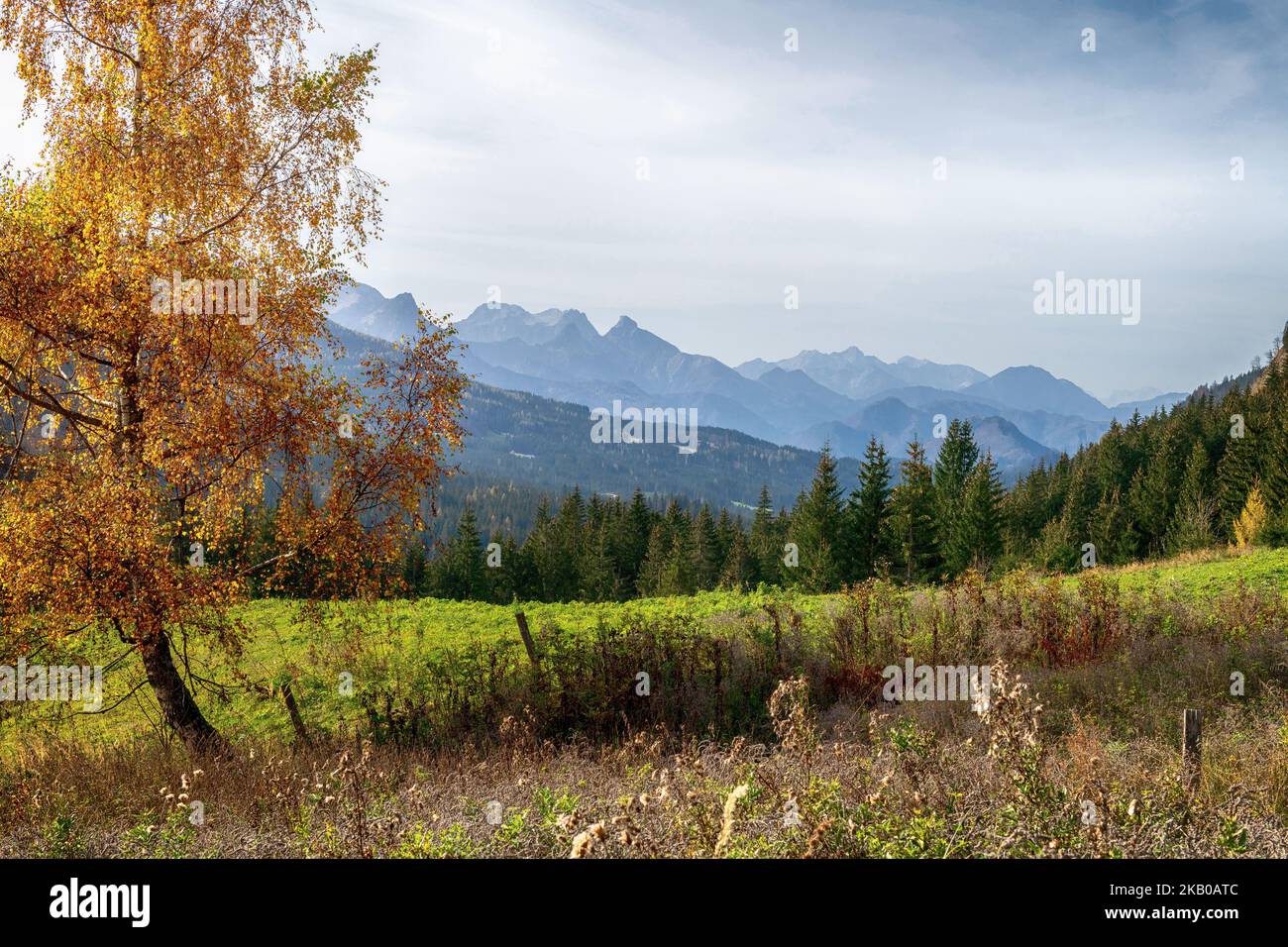 Styrian nature hi-res stock photography and images - Alamy