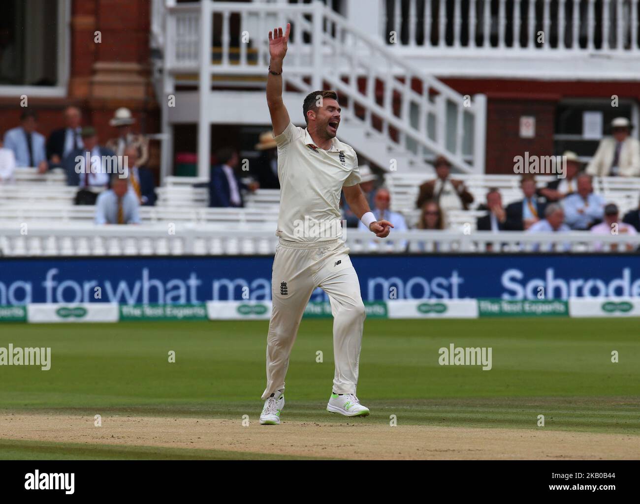 Cricket team foto hi-res stock photography and images - Alamy