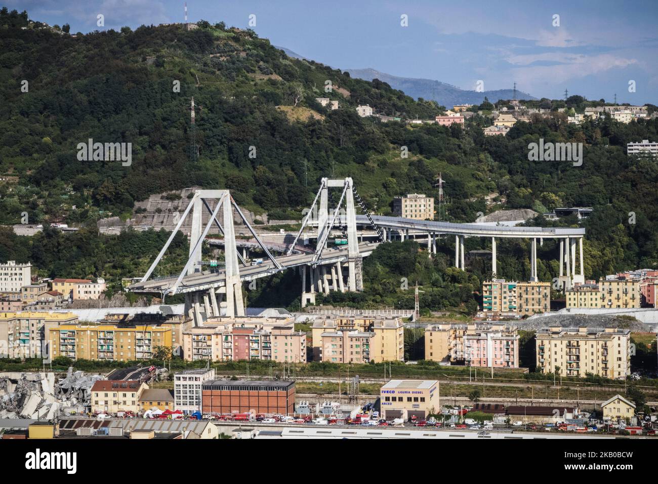 Least fierce hi-res stock photography and images - Alamy