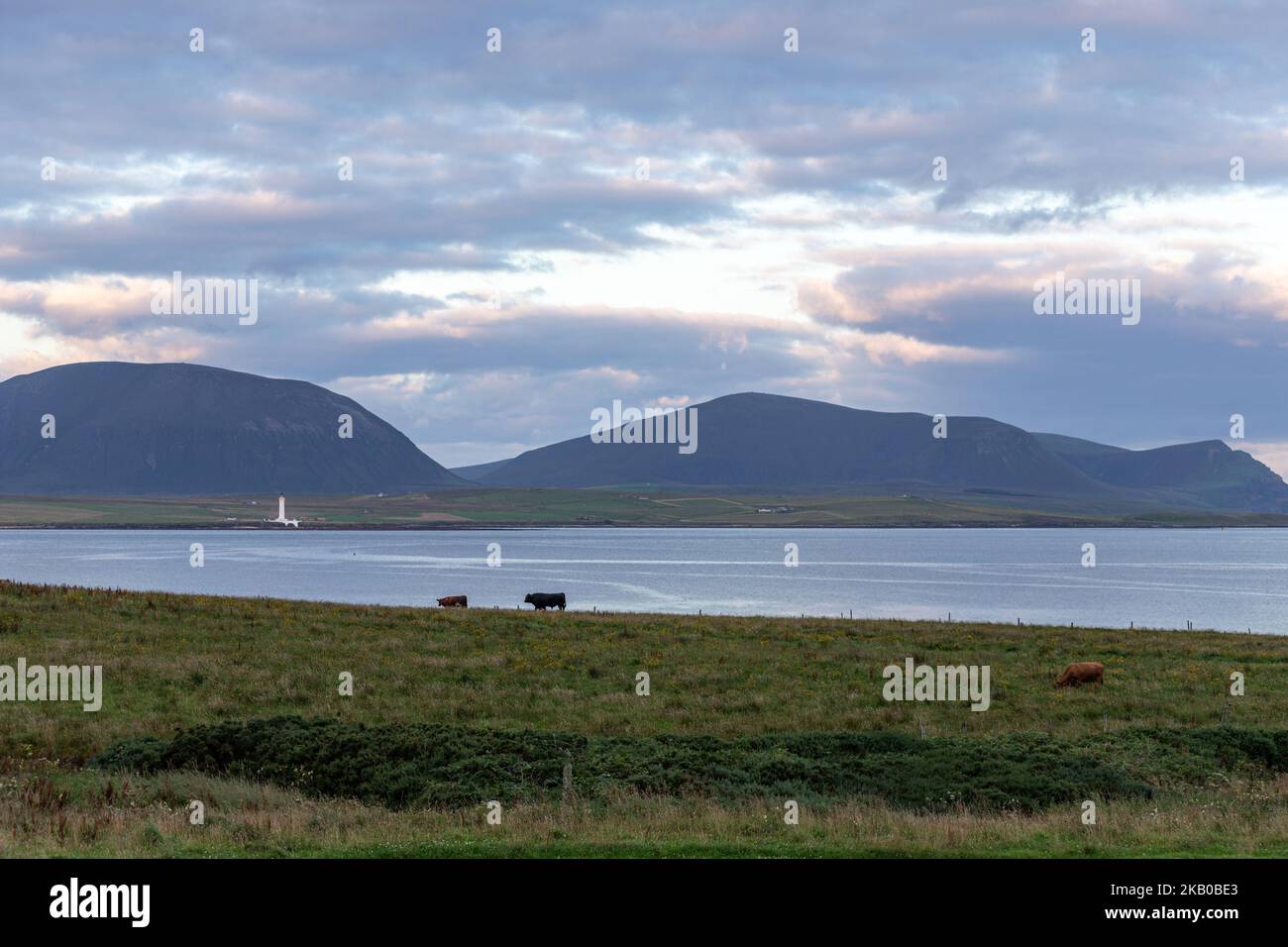 View of hoy high lighthouse from button ben guest house hi-res stock ...