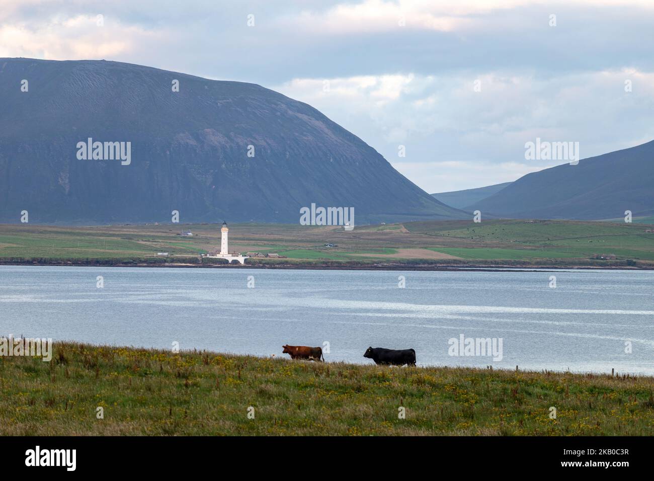 View of hoy high lighthouse from button ben guest house hi-res stock ...