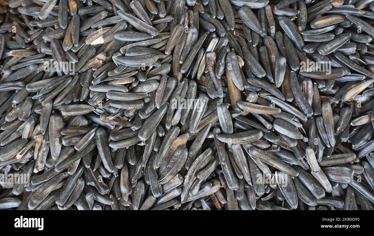 A lot of sunflower hi-res stock photography and images - Alamy
