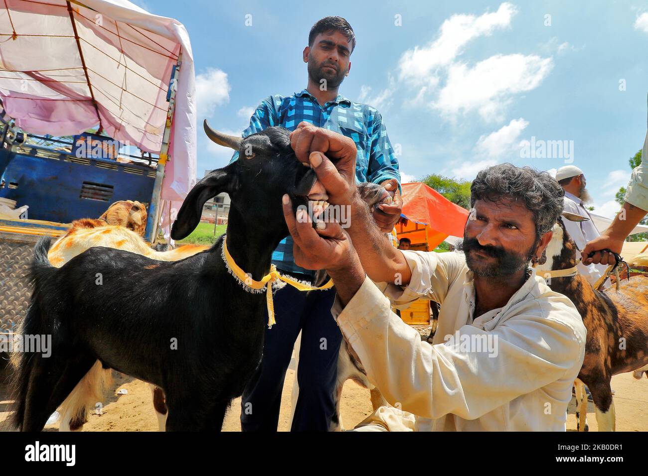 An Indian muslim goat sellers at goat market (Bakra Mandi) ahead the ...