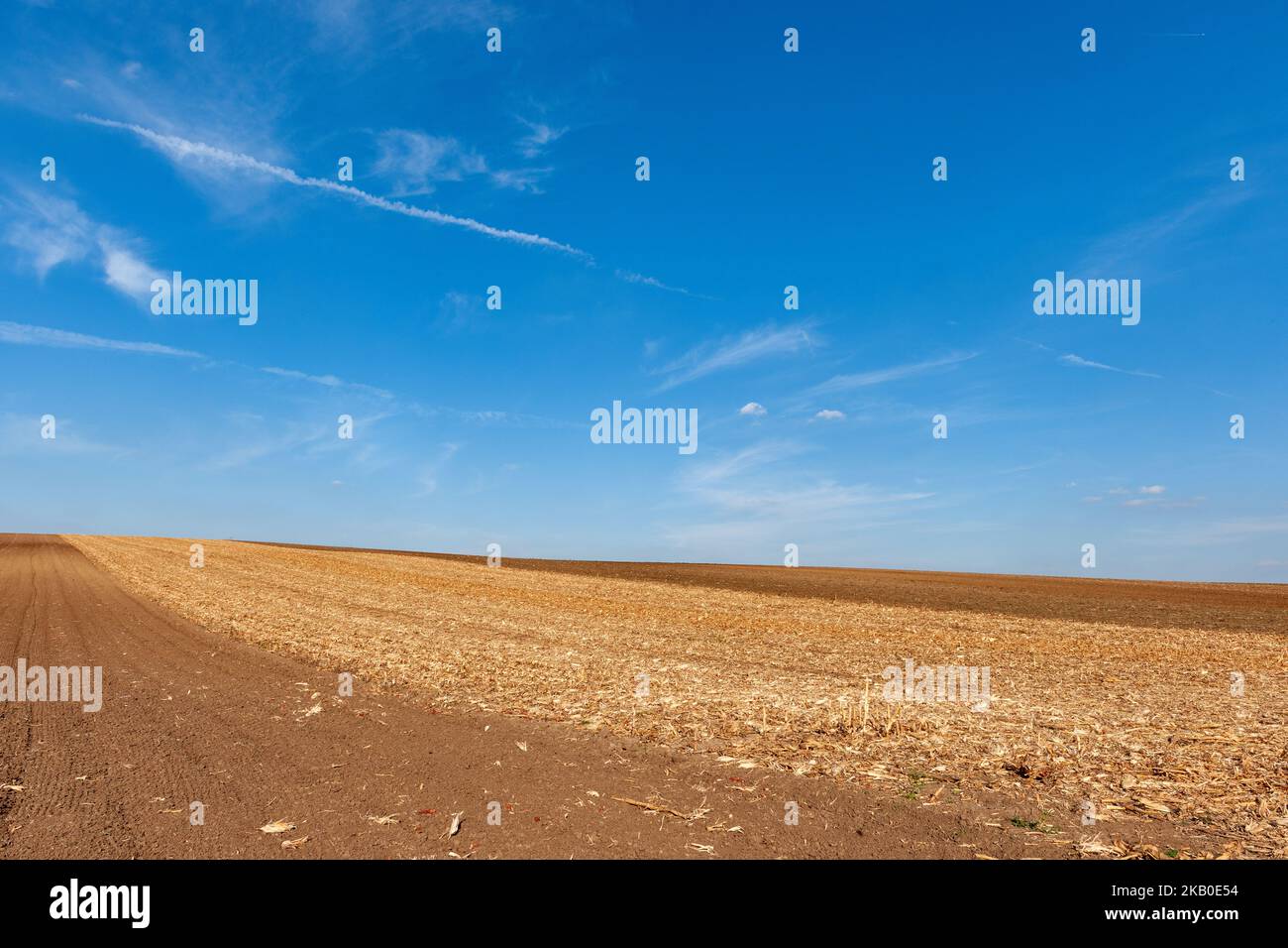 Corn mowing hi-res stock photography and images - Alamy