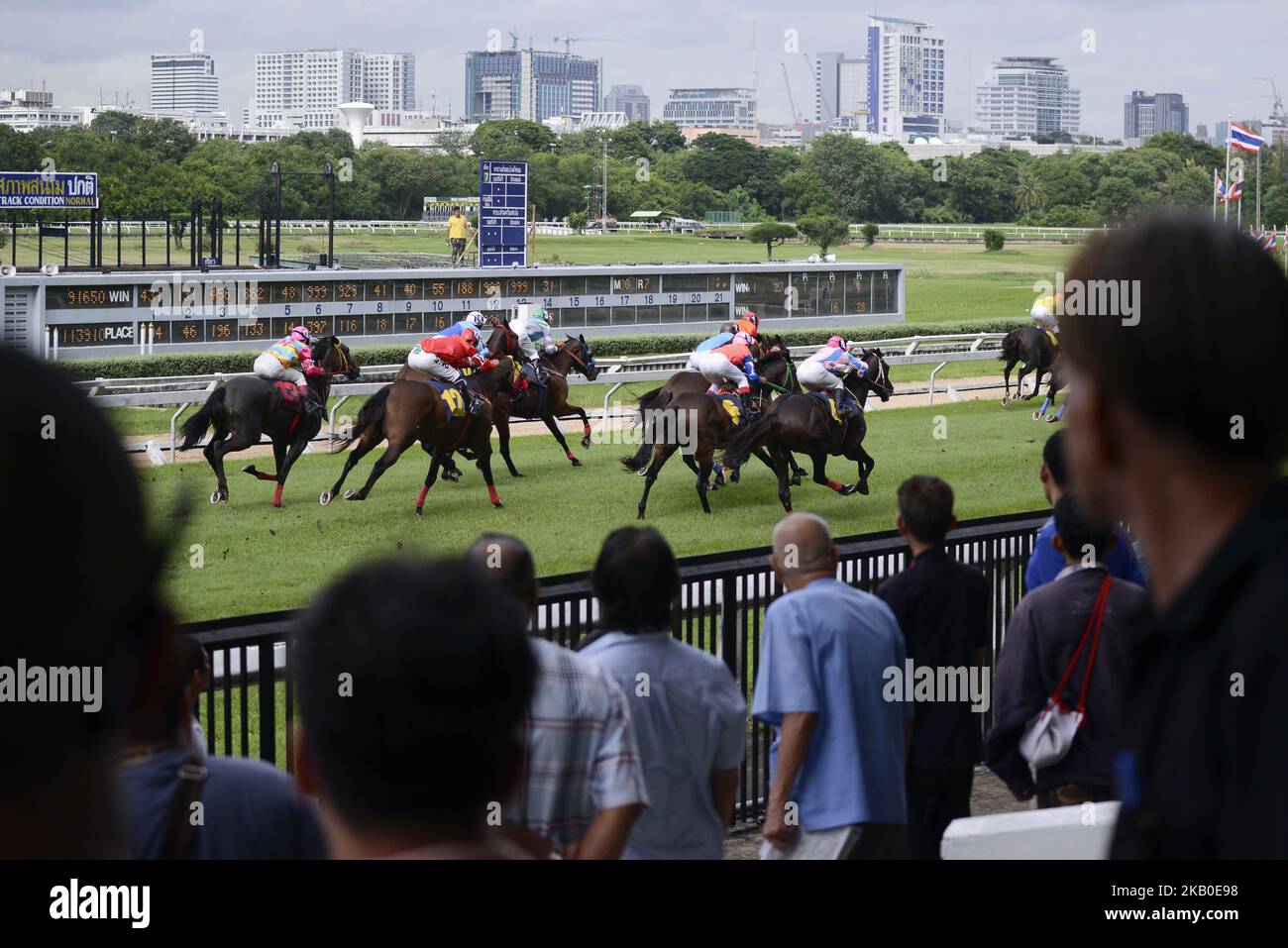 Thai racegoer punters cheer during a horse racing competition at the ...