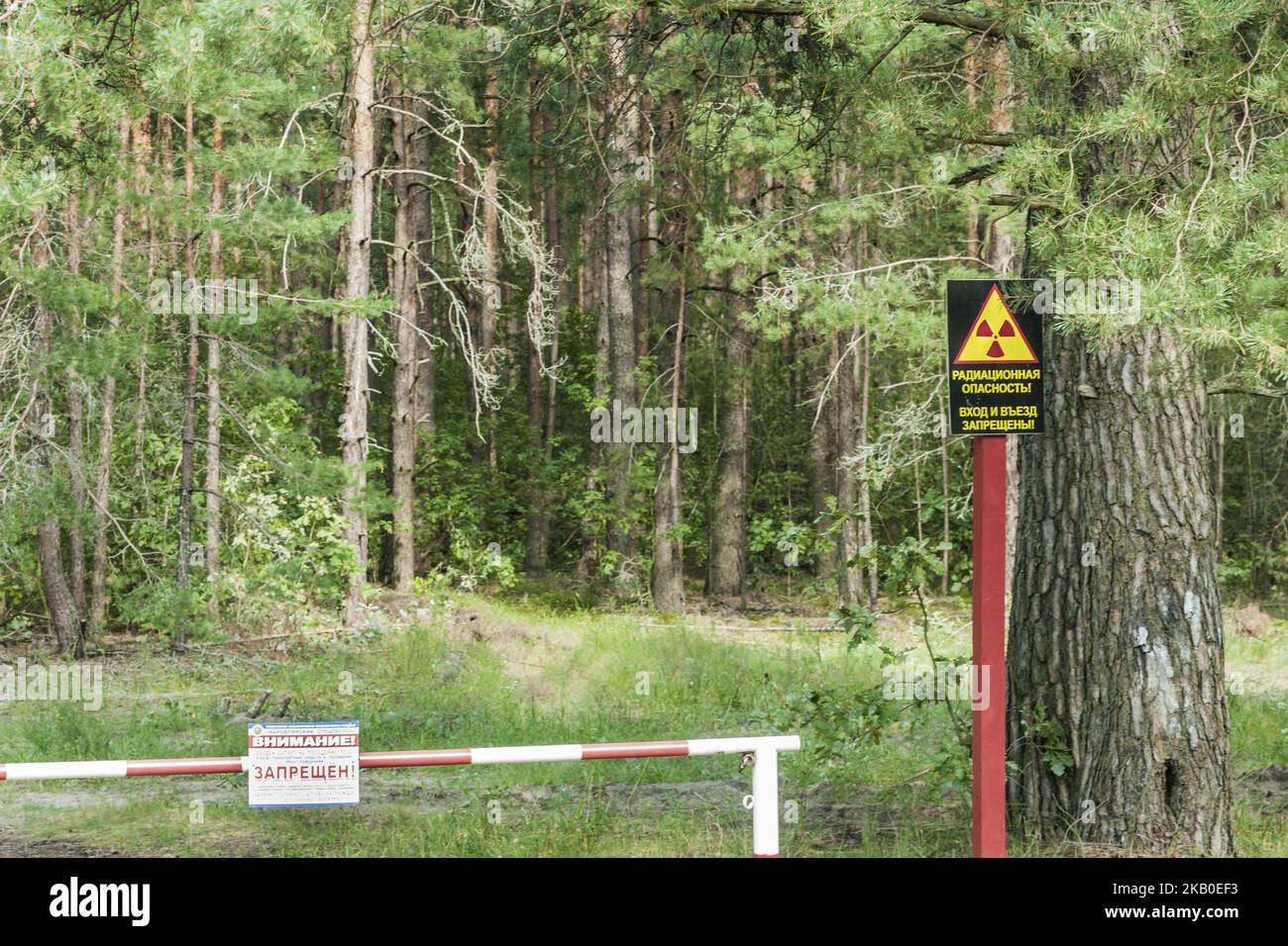 (8/15/2018) Radioactivity warning signals in the limits of the Polesie ...