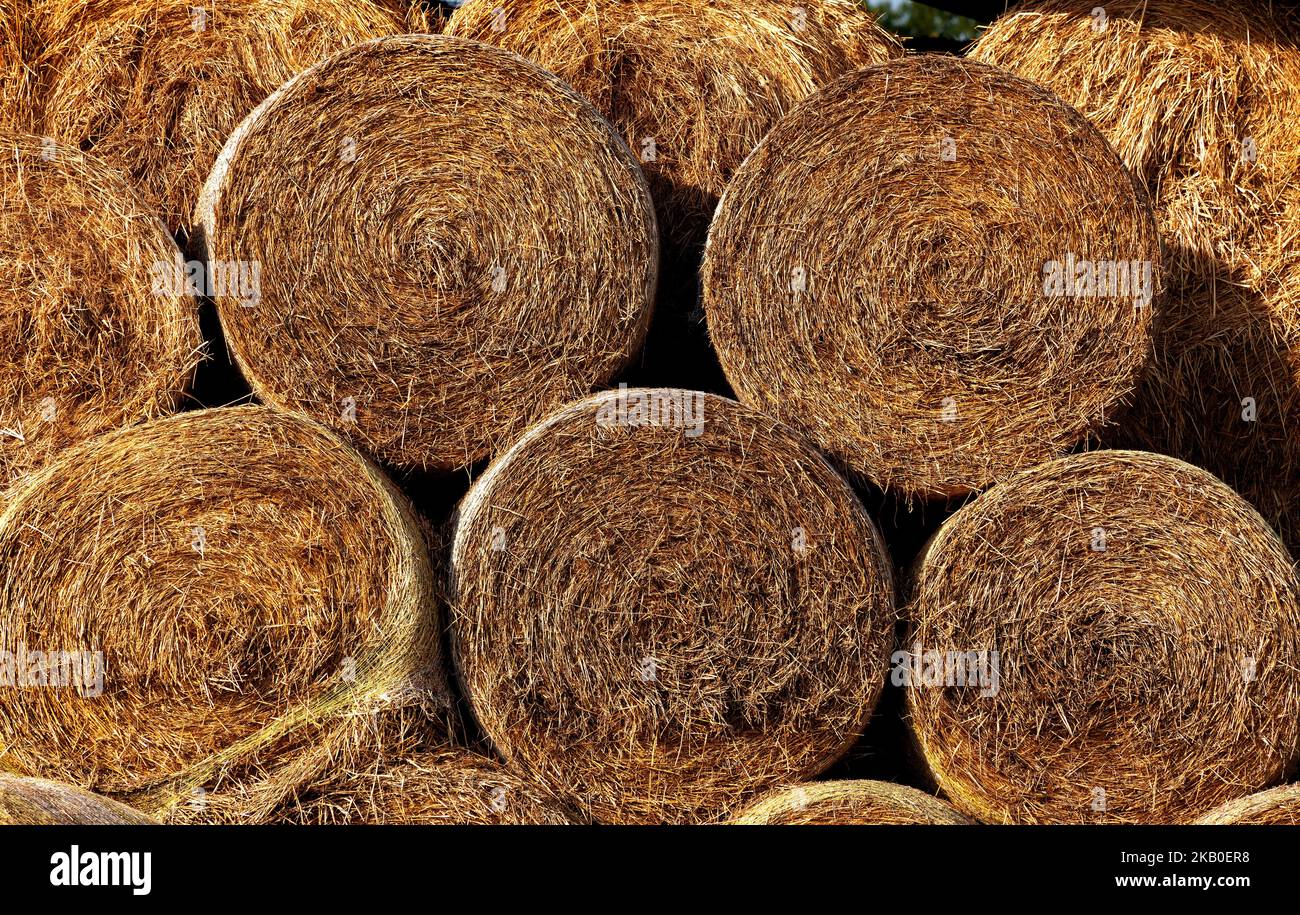 Straw bales stacked Stock Photo - Alamy