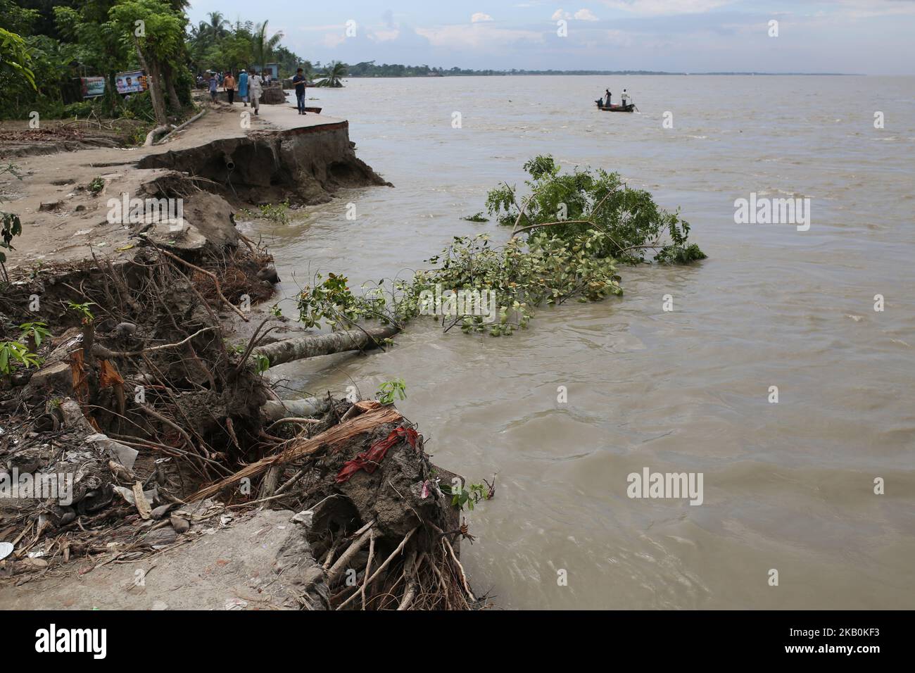 River erosion seen in the bank of Padma river in Shariatpur, near Dhaka ...