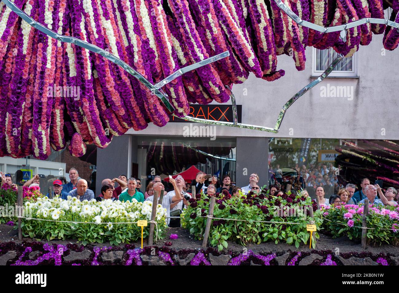On the first Sunday of September every year since 1936, Zundert, a ...