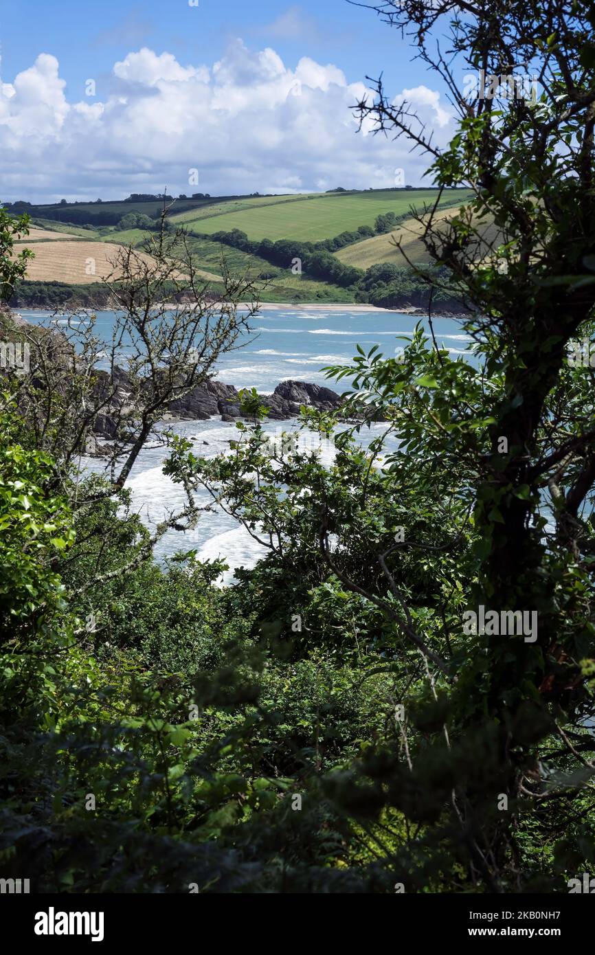 Mothecombe beach hi-res stock photography and images - Alamy