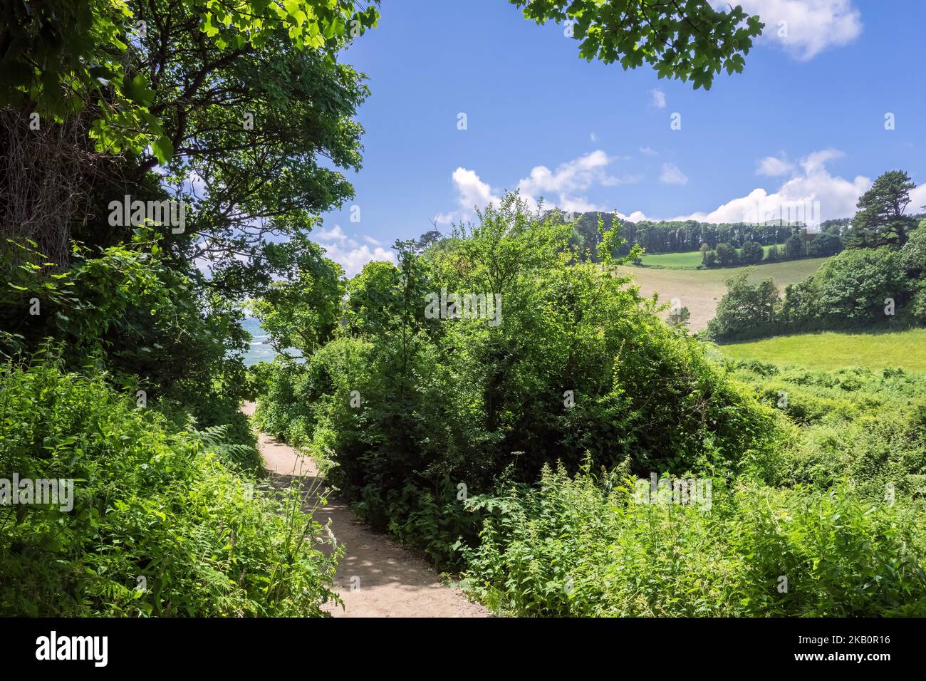 Mothecombe devon hi-res stock photography and images - Alamy
