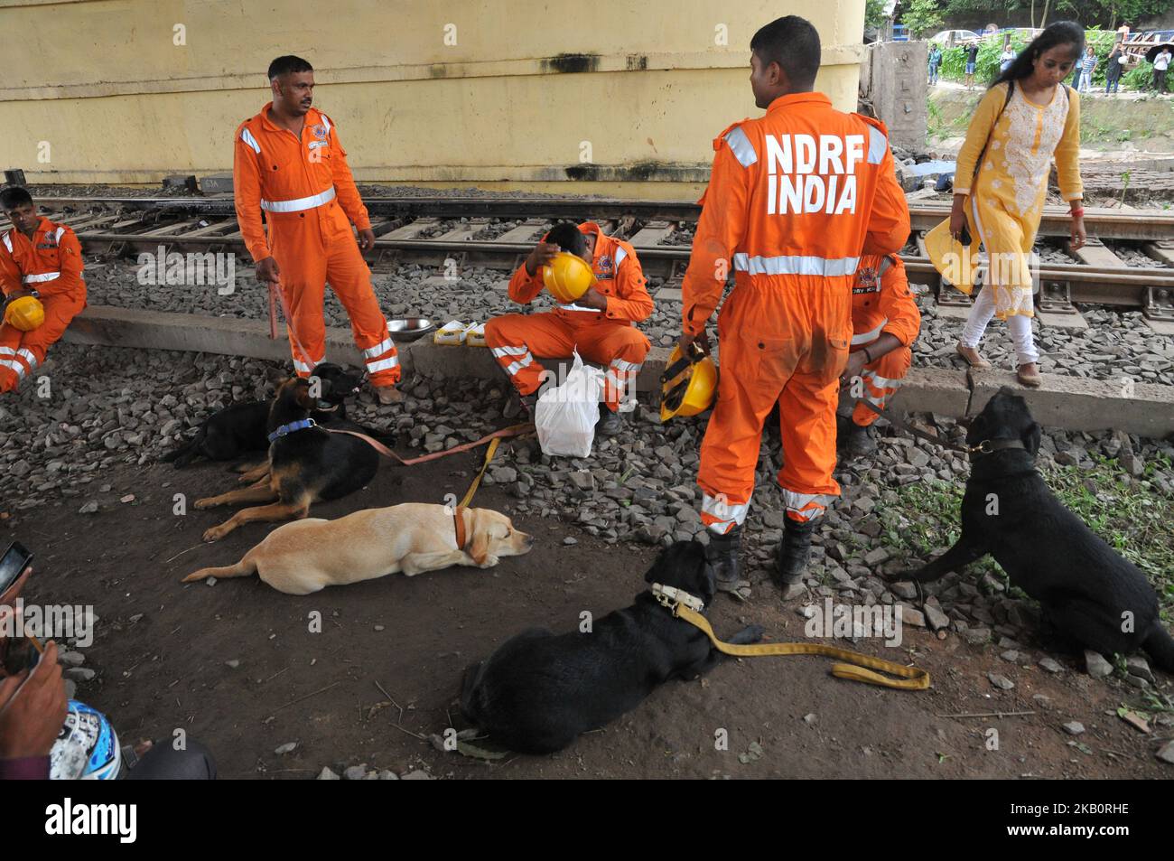 Indian rescue workers and National Disaster Response Force (NDRF) DOG ...