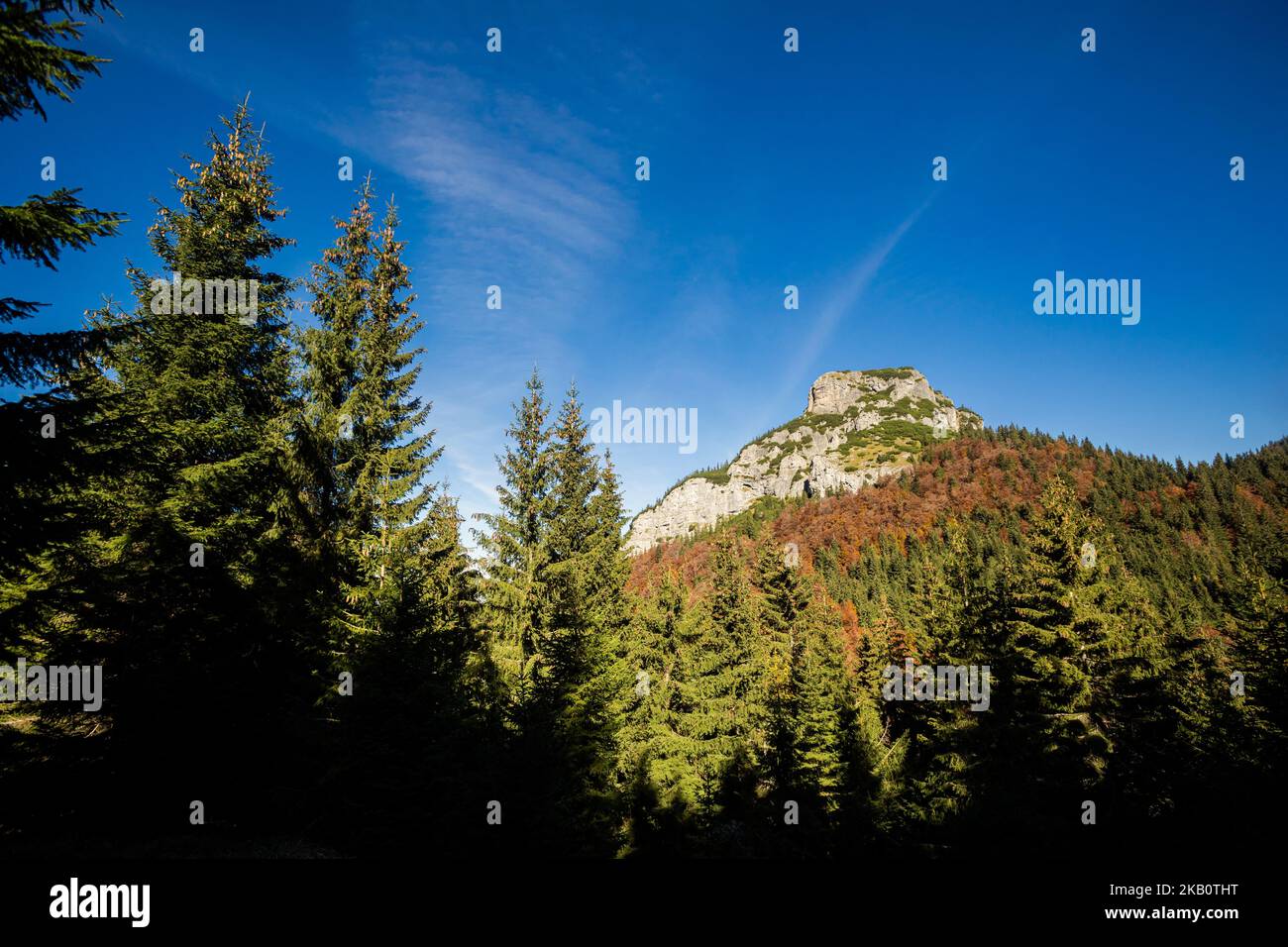 Beautiful path to Maly Rozsutec from Biely Potok - in slovakian Mala ...